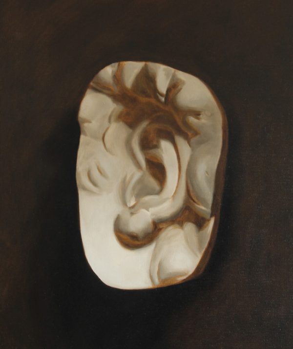 Cast-painting-of-davids-ear - Gary Armer | Artist